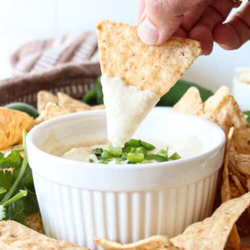 Cottage Cheese Taco Dip (High Protein!) - The Balanced Nutritionist