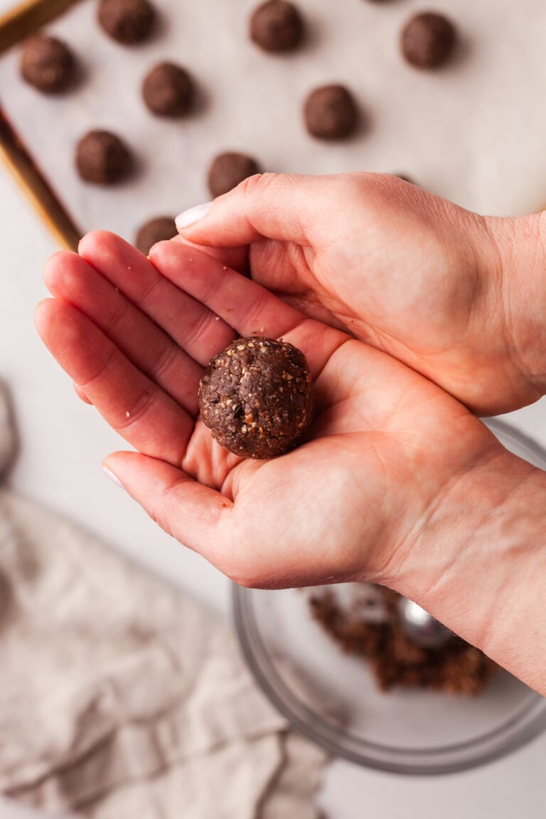 Protein Brownie Bites - The Balanced Nutritionist