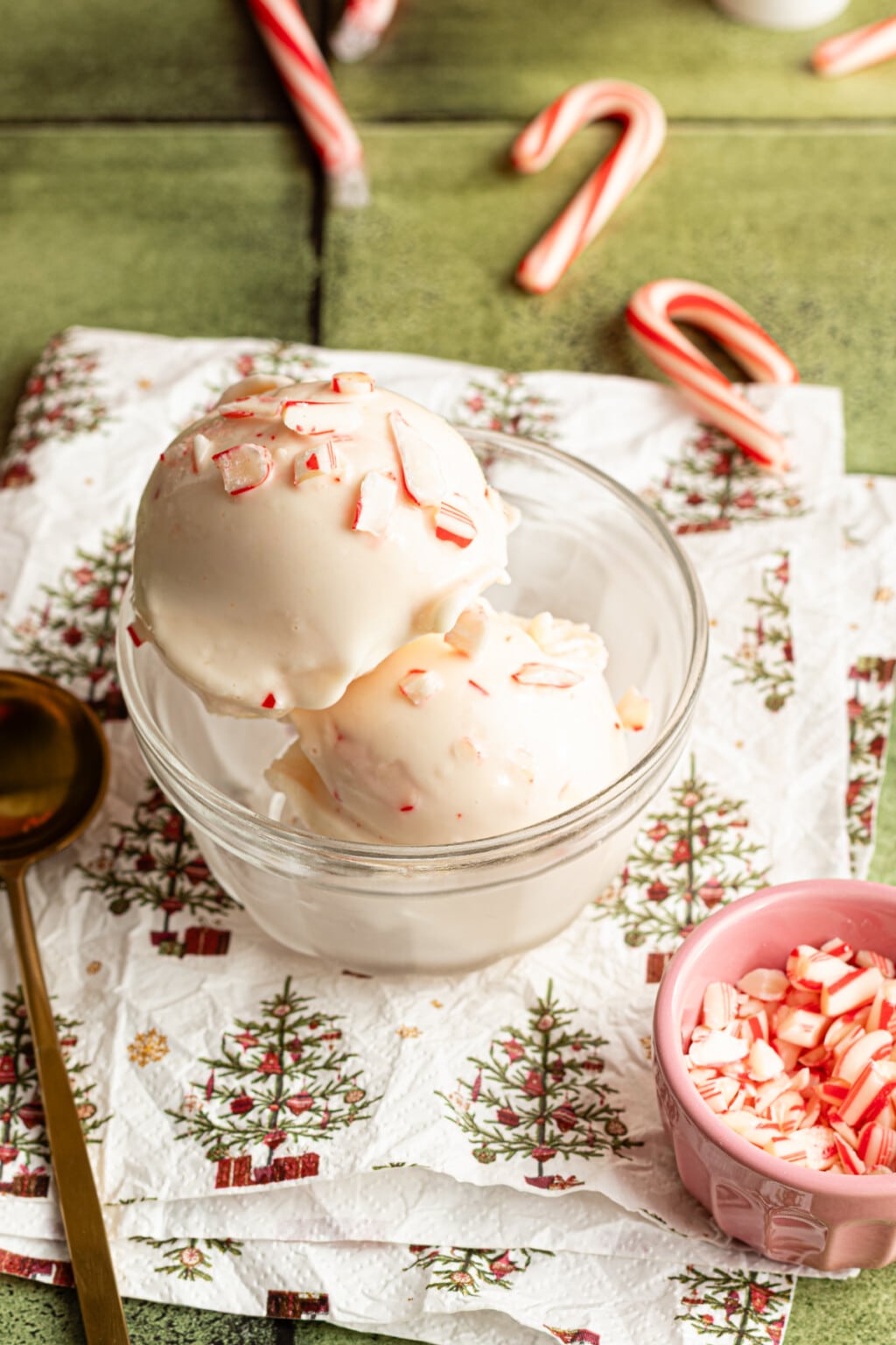 Ninja Creami Peppermint Ice Cream - The Balanced Nutritionist